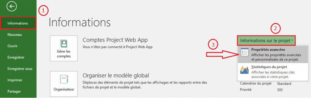 Ms project : Informations sur le projet – apcpedagogie