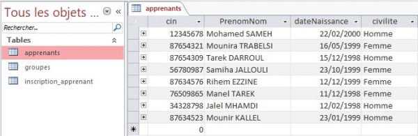 Afficher Les Enregistrements D Une Table Access Dans Un Datagridview Apcpedagogie