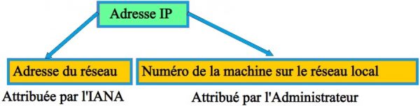 Le protocole TCP/IP – apcpedagogie