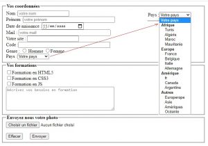 TP validation d’un formulaire en JavaScript – apcpedagogie